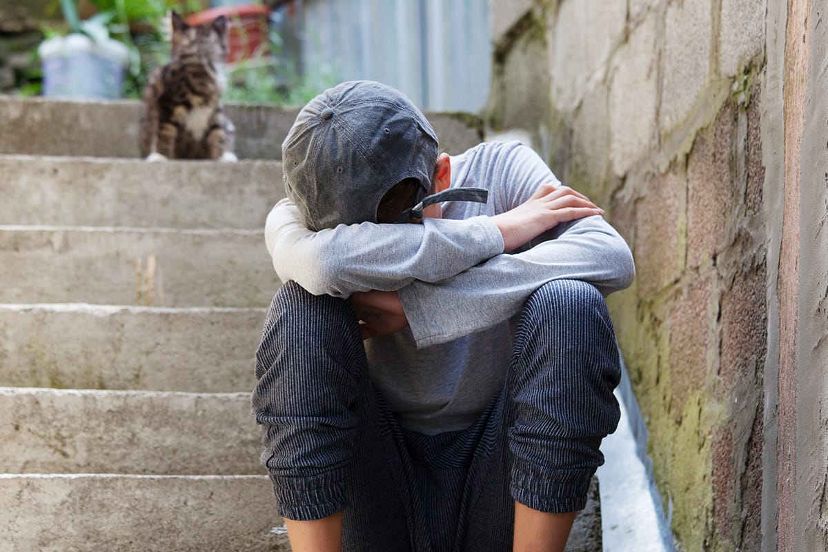 Why Do Adolescent Males Demonstrate Impulsive Behavior?